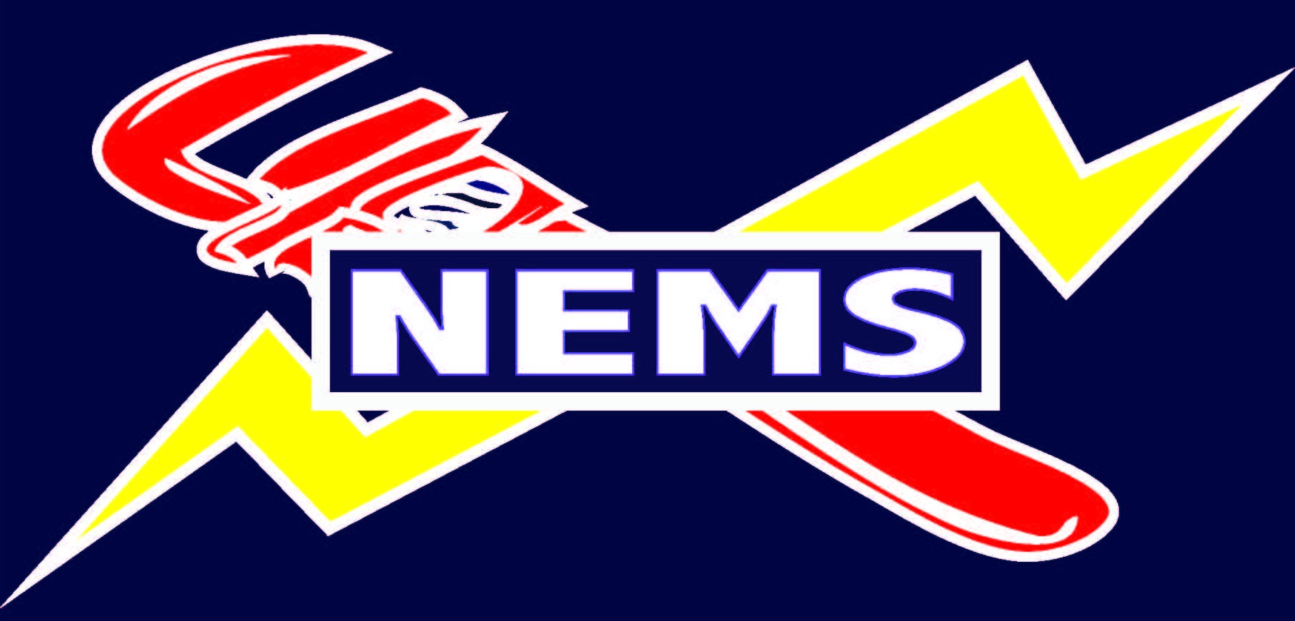 Home - NEMS